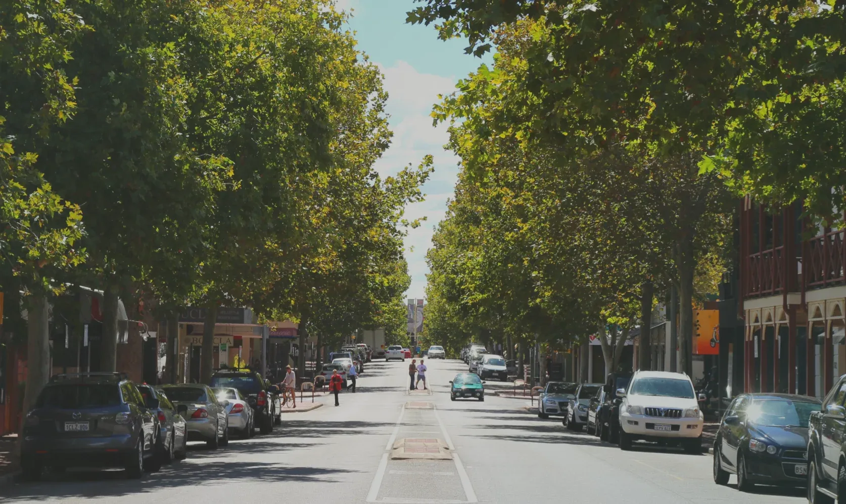 Remote sensing for early tree health detection | ArborCarbon